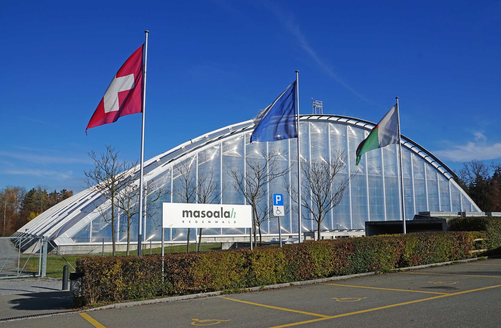 Ein Regenwald in der Schweiz – die Masoala-Halle in Zürich