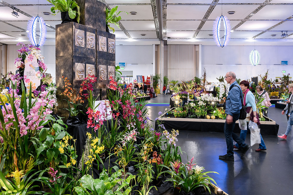 Orchideen: Veranstaltungs-Highlights in 2020